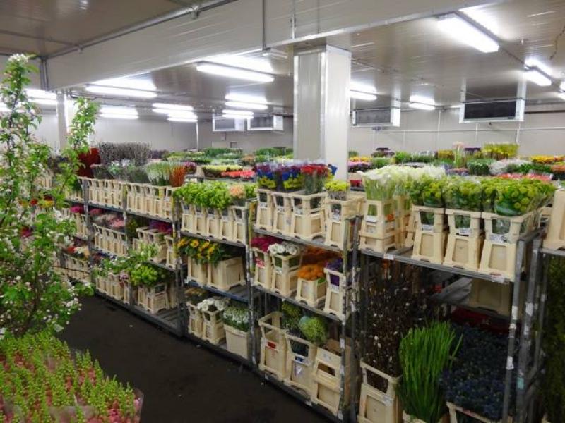 In the spotlight; Bab Star • Florisoft BV